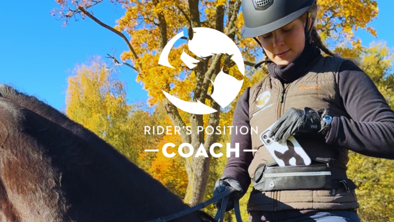 Rider's Position | Move together as a team. Enjoy the ride!